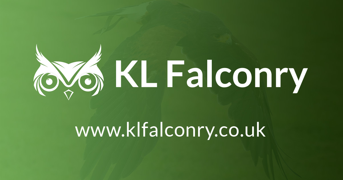 Falconry Experiences | KL Falconry | Falconry Experiences ...